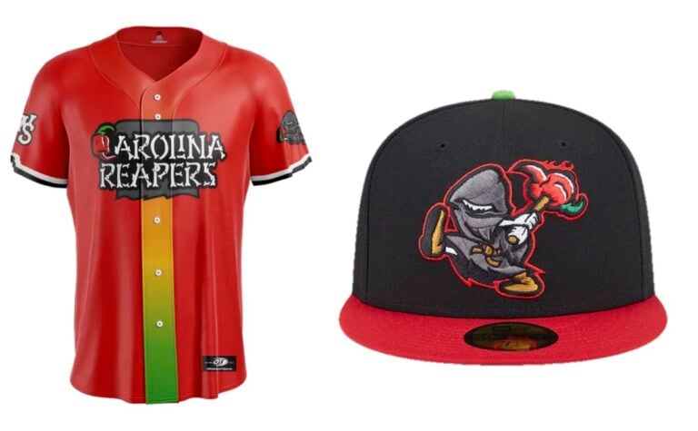 Winston-Salem Dash Baseball: Schedule, Tickets, Standings