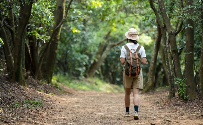 The Best Walking Trails In Winston-Salem | My Winston-Salem